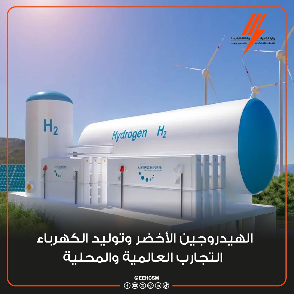 Egyptian electricity holding company